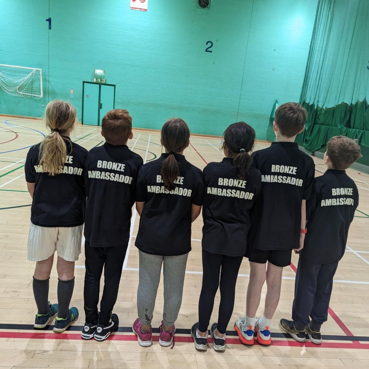 Fishbourne Primary School - Our New Bronze Ambassadors!